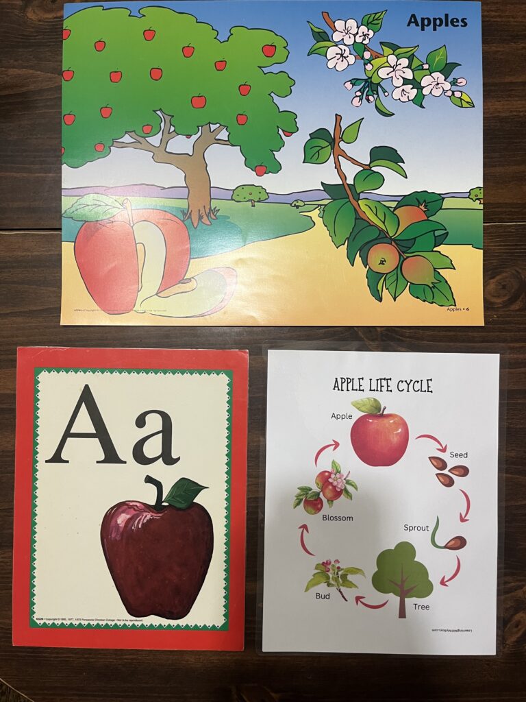 A is for Apple (preschool) – Learning With My Boys
